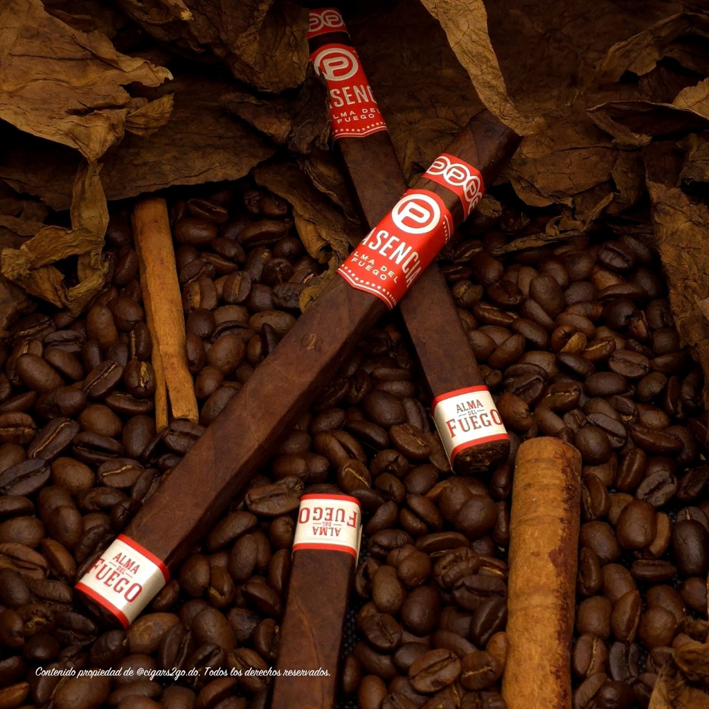 Plasencia Alma del Fuego La Flama Corona (6.5" x 38) | Cigars2go